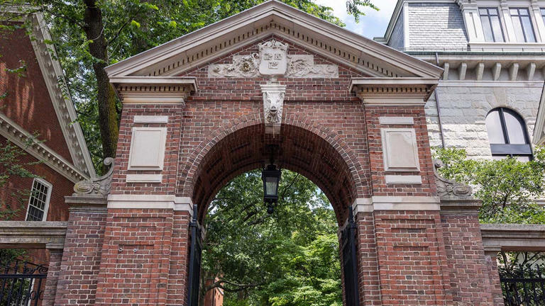 Is ‘trauma’ shorthand for Blackness in college admissions? Report ...