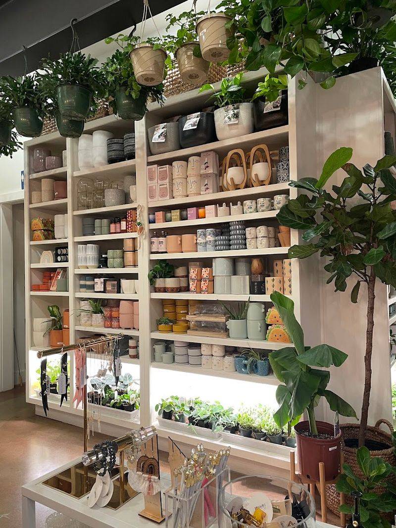 These 10 Oklahoma succulent shops are every plant lover’s dream