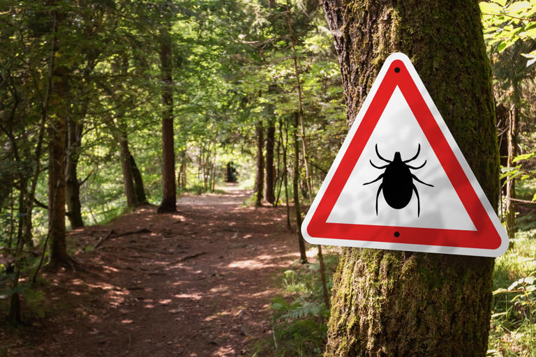 Why this tick season could be the worst in a decade