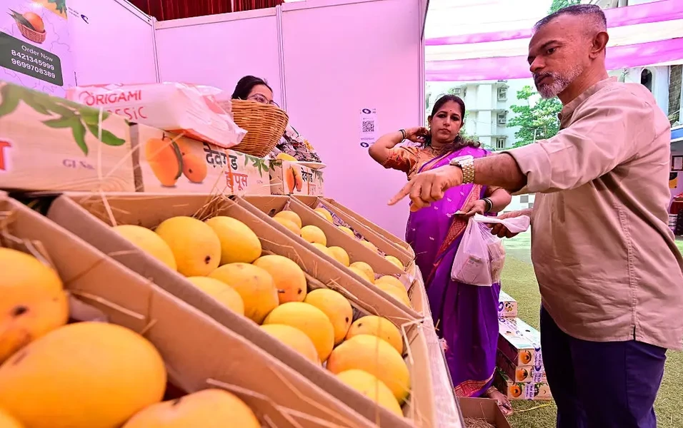 Mango magic from tree to table