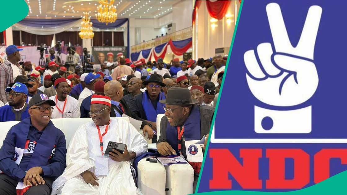 Breaking: NDC finally selects Kano guber candidate for 2027 elections