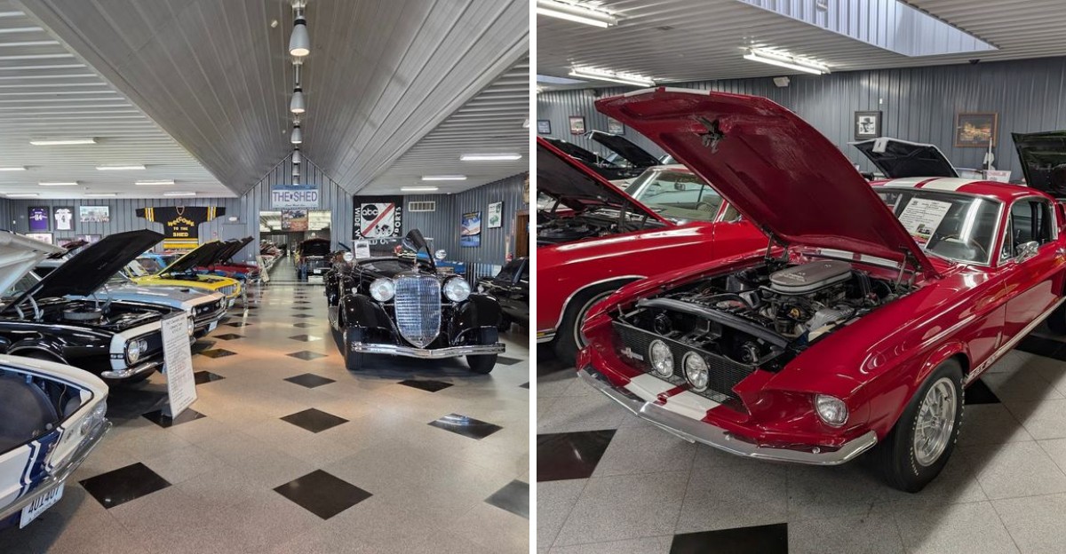 Over 100 rare muscle cars hide inside this little-known auto museum in ...