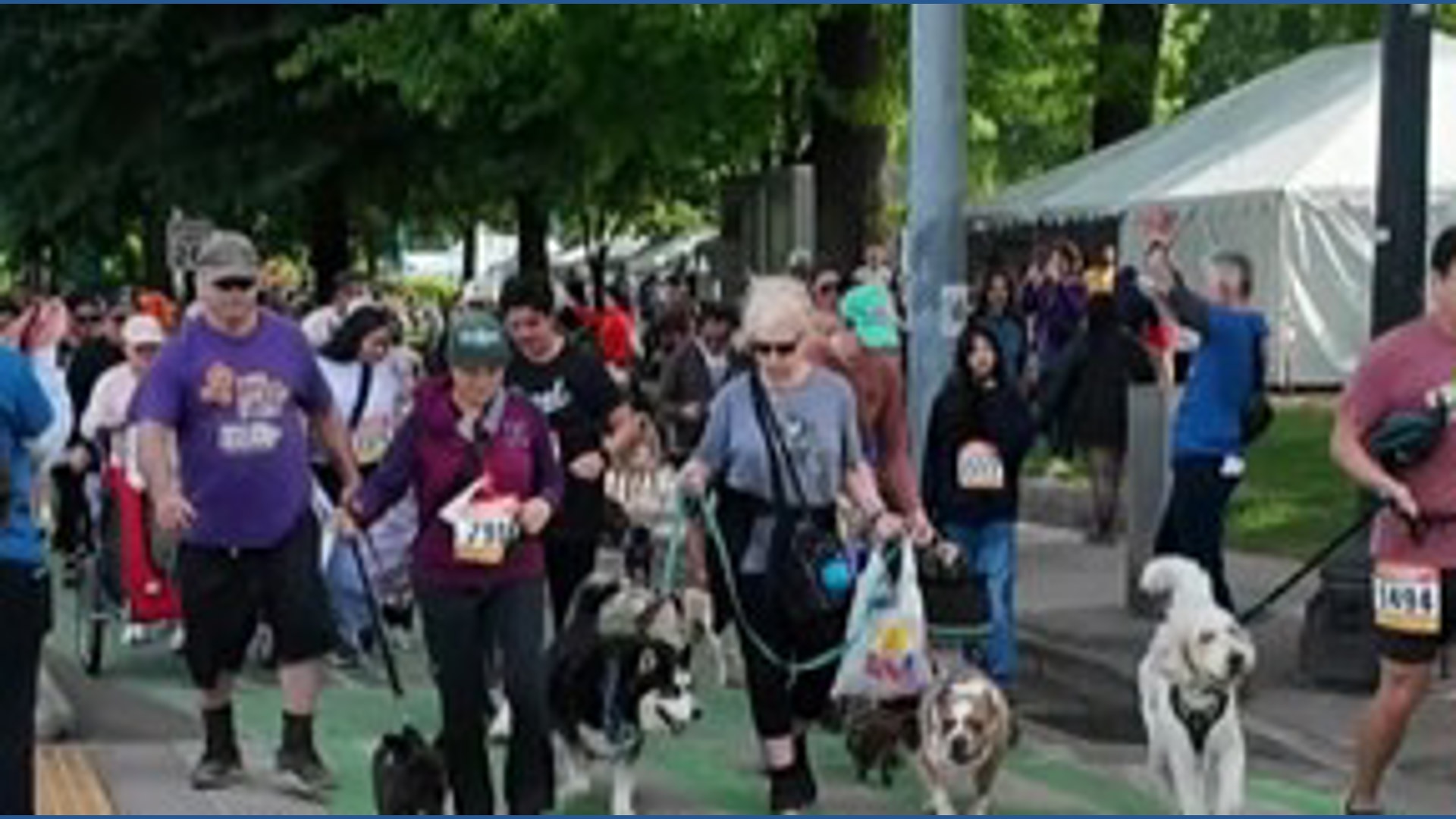 Oregon Humane hosts Doggie Dash event at Waterfront Park