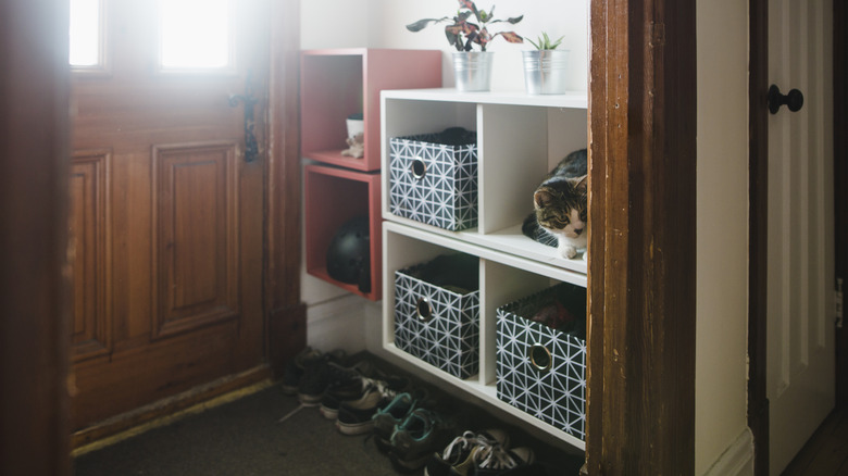 Solve your entryway storage woes with these creative hall tree ideas