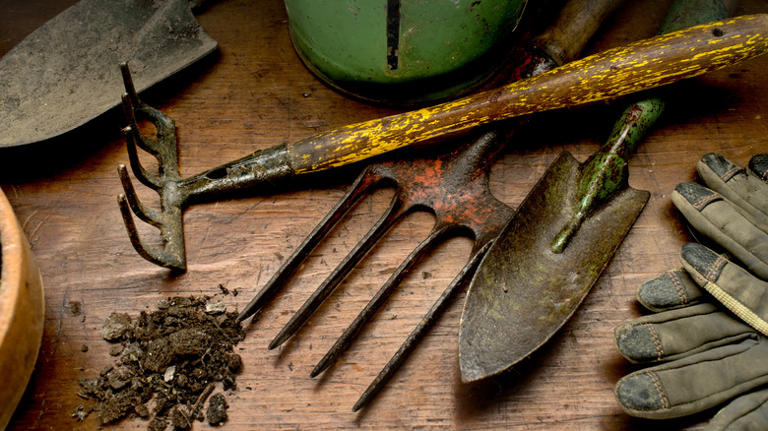 The garden tool maintenance you should be doing every spring