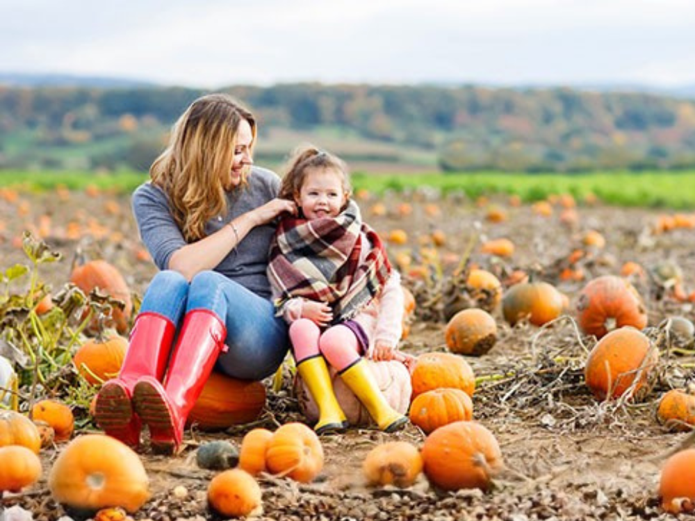 14 farm loop drives with produce stands, bakeries, and U-pick stops