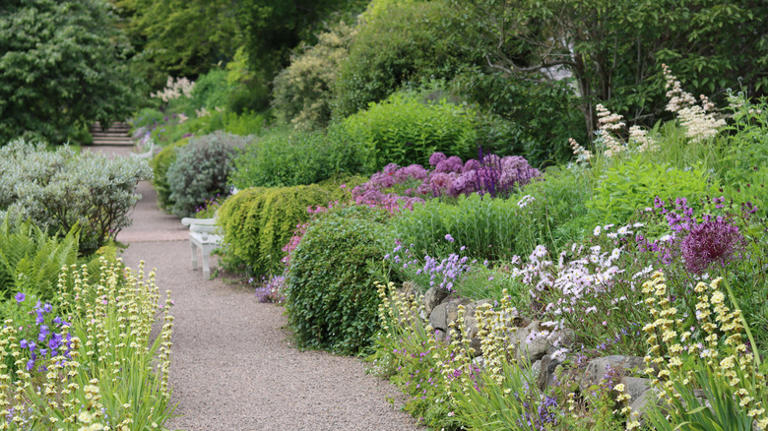 12 innovative garden path upgrades that can make your yard more inviting
