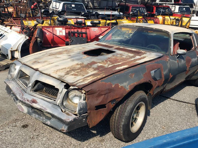 Abandoned 455 Pontiac Trans Am found rotting in junkyard as muscle car ...