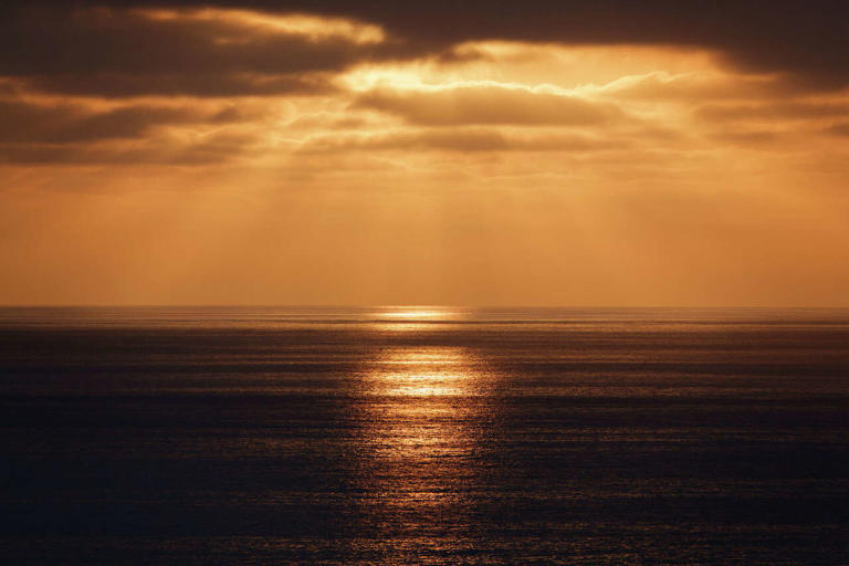A record El Niño may be forming - and the forecast model is literally ...