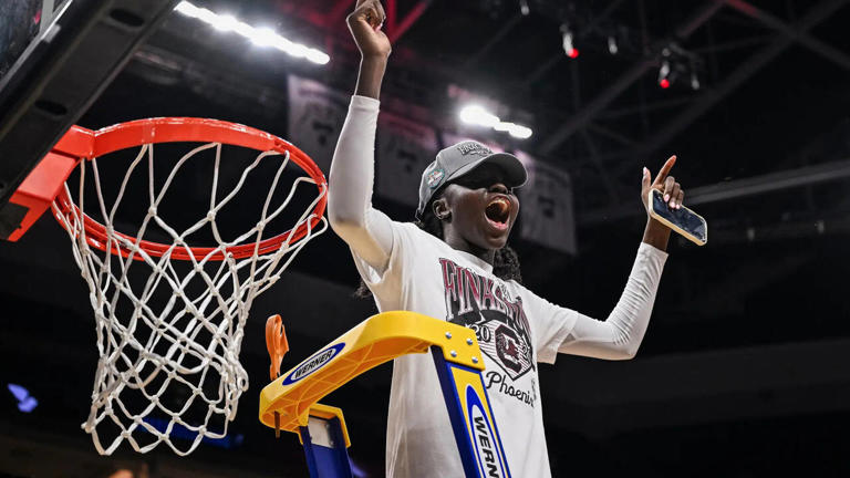 Trump's committee proposes task force to address college sports issues