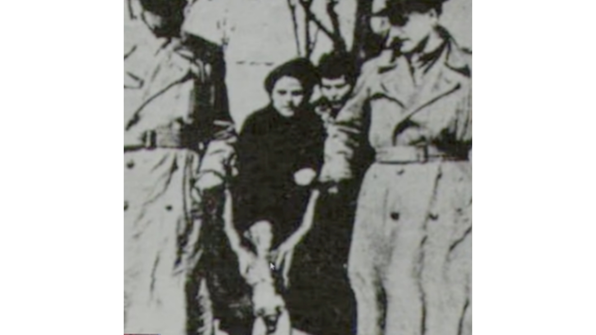 'We are being trolled': One of the first 'official' alien photos in ...