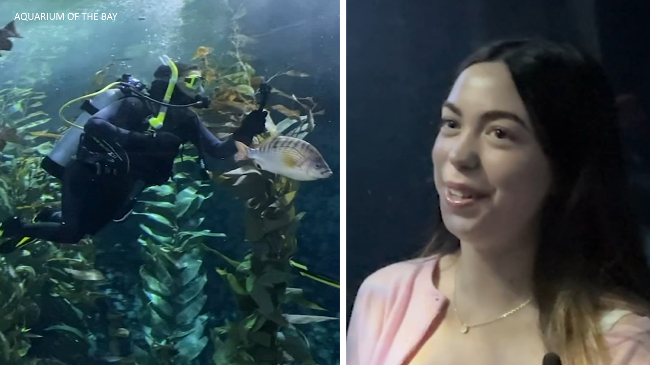 North Bay teen diving to make a difference, raising awareness of SF Bay ...