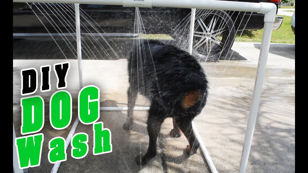 I built an outdoor dog shower!🐶🚿