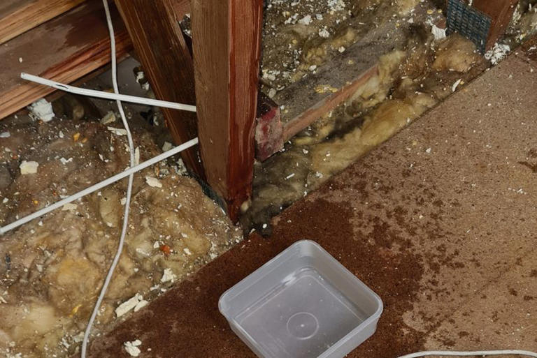 Rogue traders take £13k from grannie leaving her trapped in her home