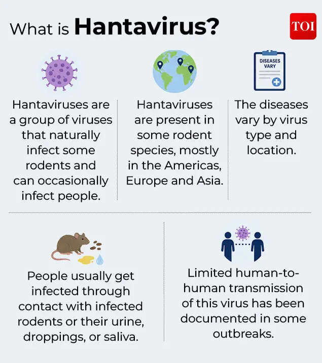 Hantavirus-hit cruise ship to arrive in Tenerife on Sunday; WHO head ...