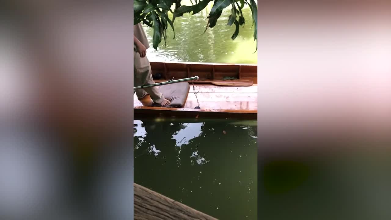 Wild snake terrifies fisherman's as it slithers into his boat