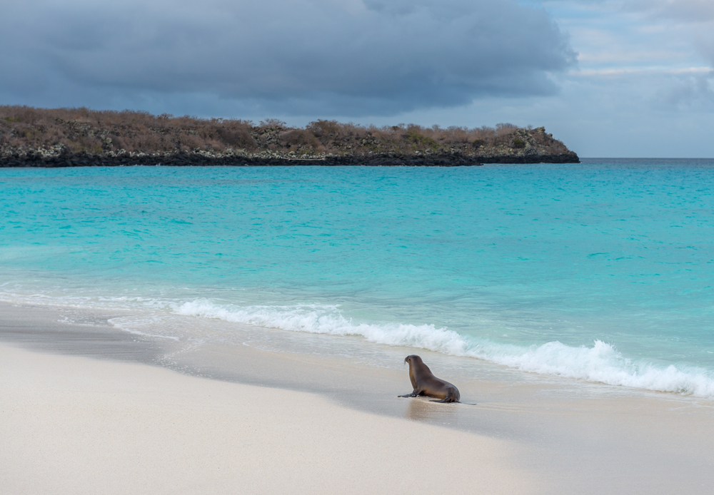 17 top rated coastal attractions around the world according to travelers