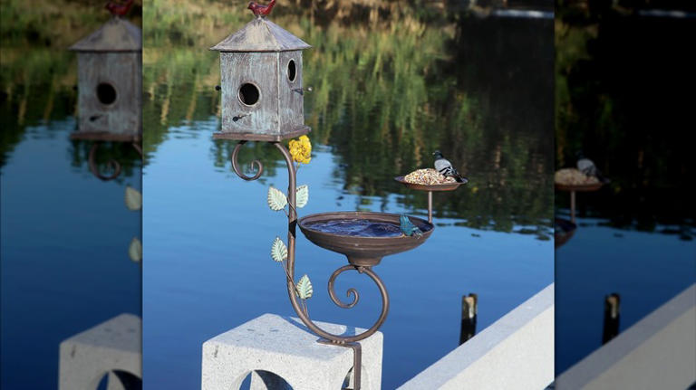 Goodbye Traditional Bird Baths: There's An Amazon Find That Meets Every ...