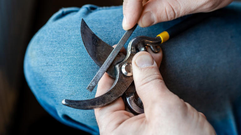 The garden tool maintenance you should be doing every spring