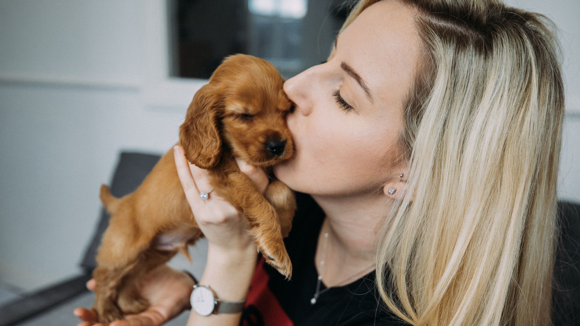 Top tips for first-time dog owners