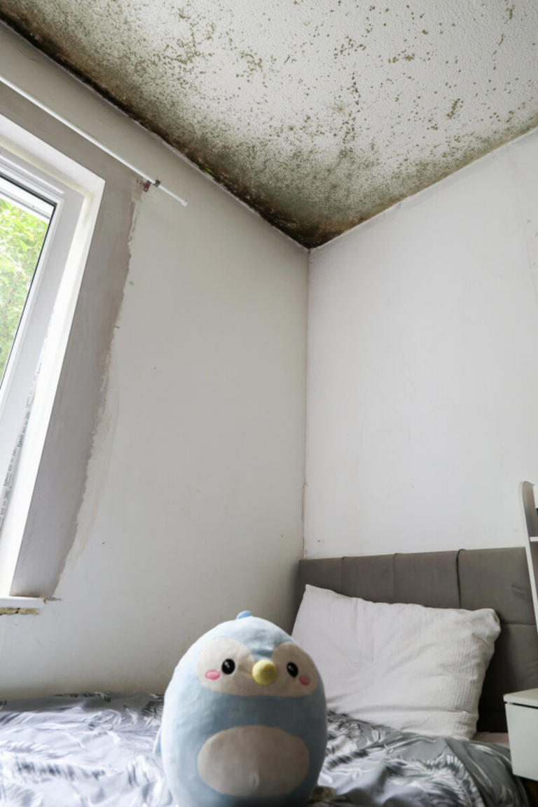 Oliver Bond resident fears new plan for complex risks repeating ...