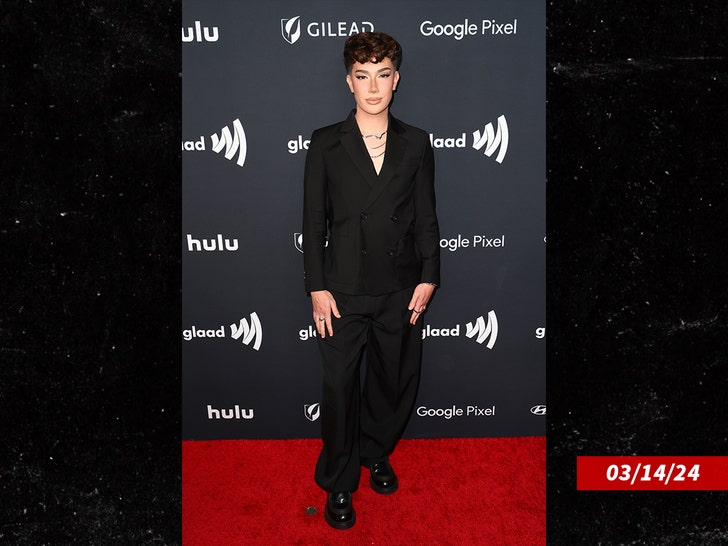 James Charles apologizes for roasting person who asked him for money