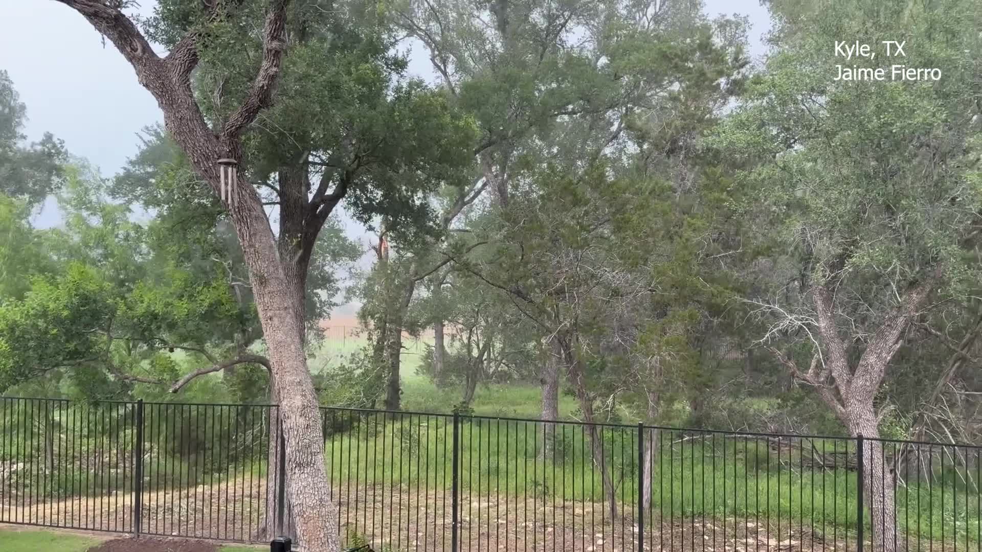 Tree snaps during storms in Kyle, Texas Saturday