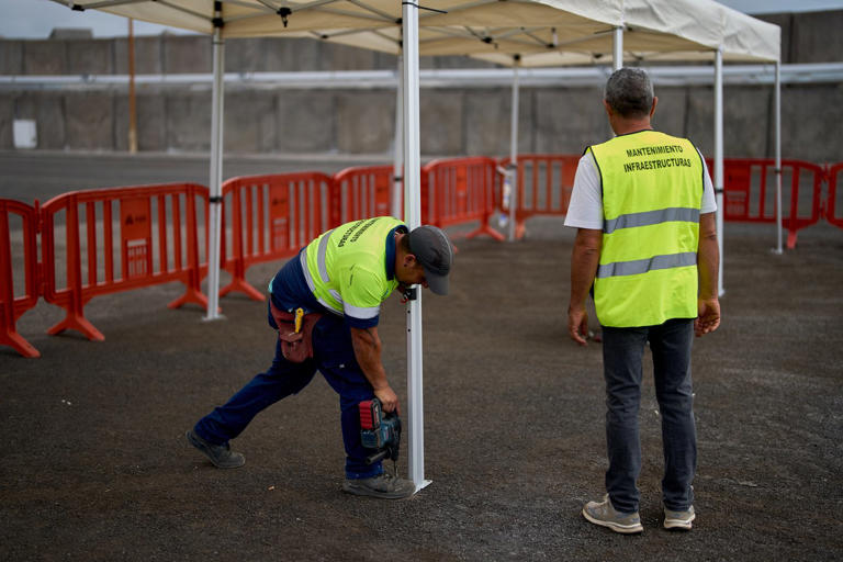 Hantavirus : le directeur général de l'OMS tient à rassurer la ...