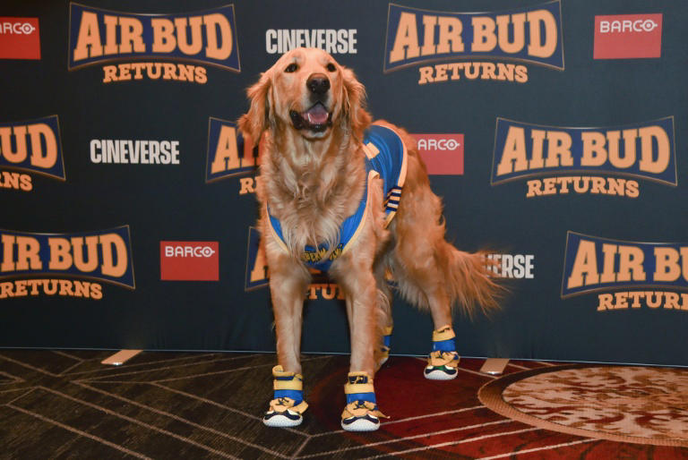 Who's a good boy? AI can't replace doggie actors, director says