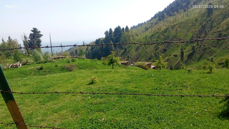 Tribal herders in Kulgam invoke FRA to reclaim land seized after 2019
