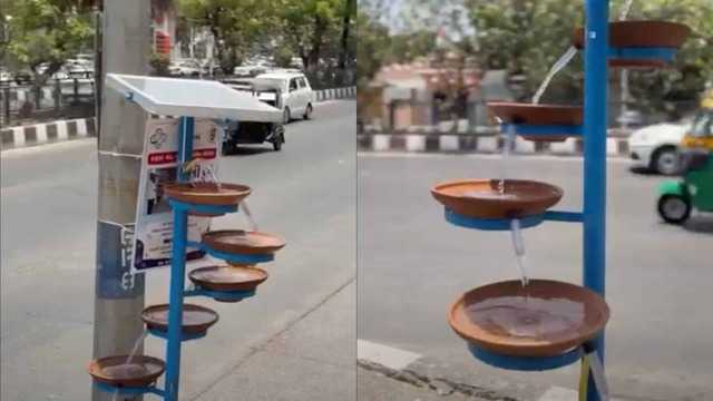 A beautiful bird-saving idea Hyderabad should adopt