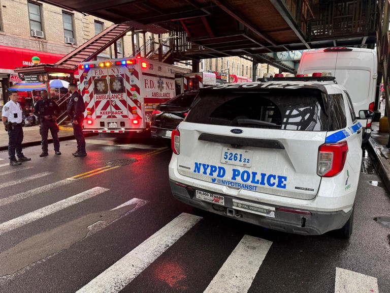 Straphanger, 33, stabbed multiple times in NYC subway attack — crazed ...