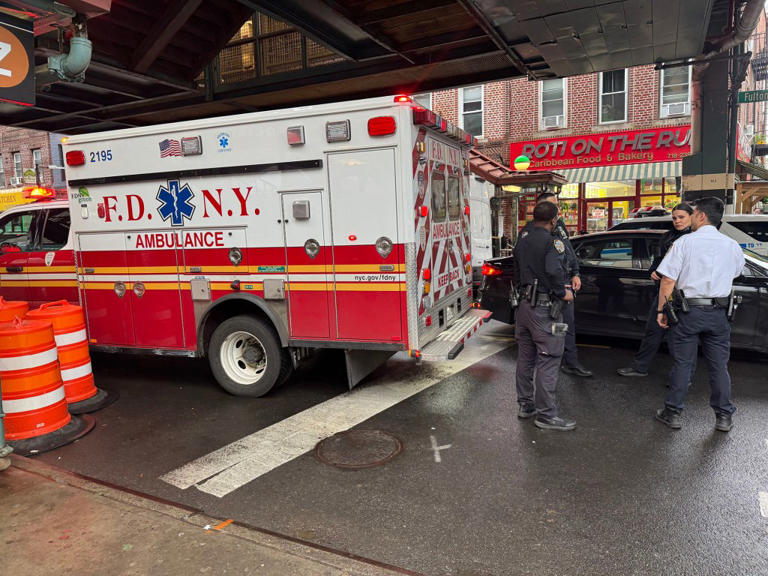Straphanger, 33, stabbed multiple times in NYC subway attack — crazed ...