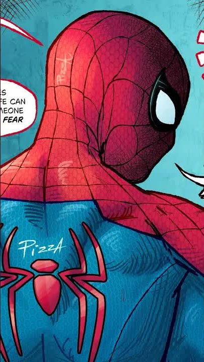 Spider-Man doesn’t like the Punisher