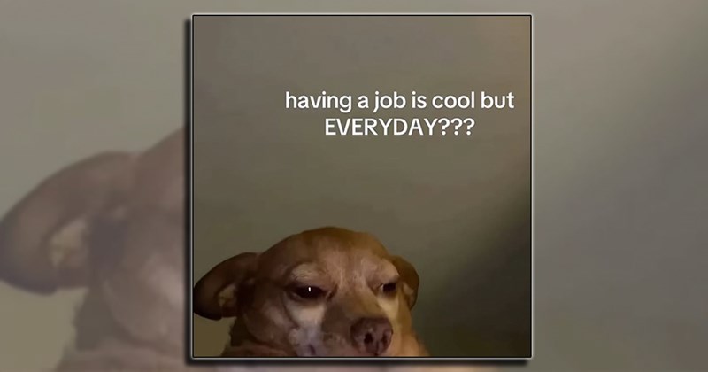 'Laughter is the best medicine': 21 laughs that will guide you on your ...