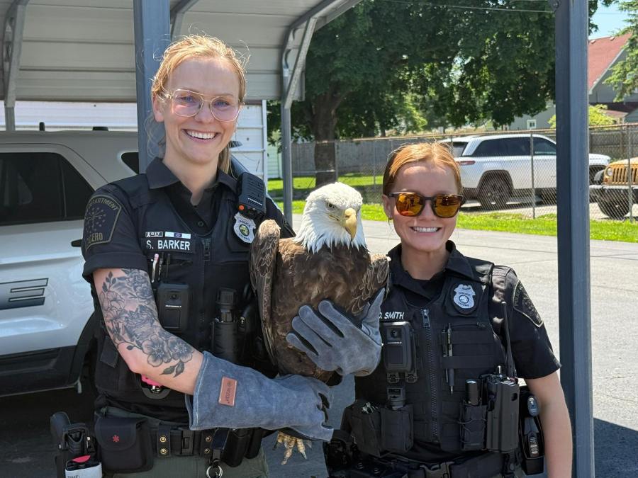 Cicero police officer rescues injured bald eagle