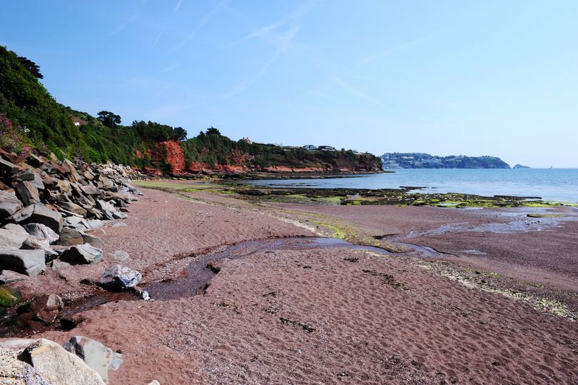 Police on alert to Devon beach party with 100 youths