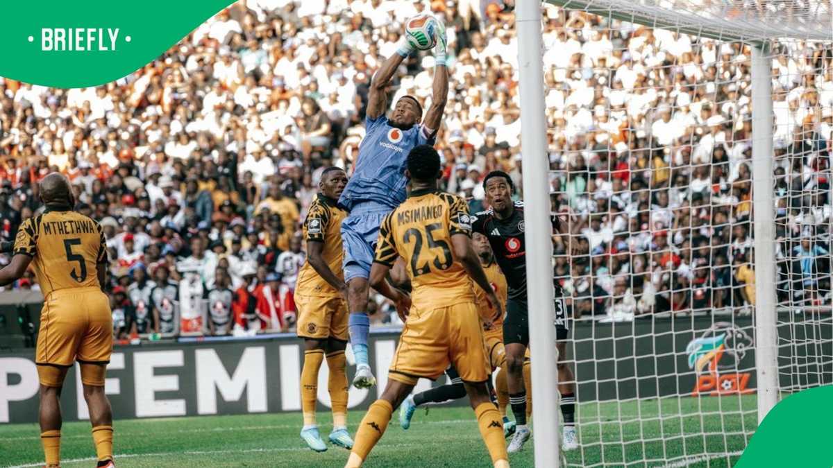 Hugo Broos faces new Bafana headache after Benni McCarthy backs Petersen