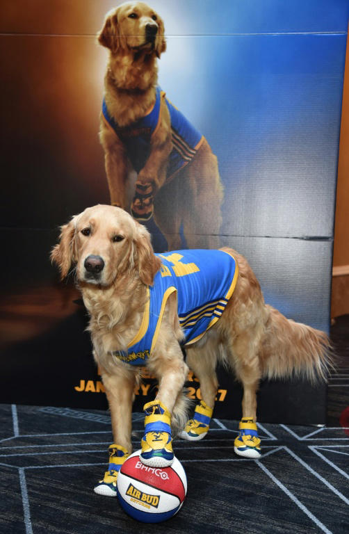 Who's a good boy? AI can't replace doggie actors, director says
