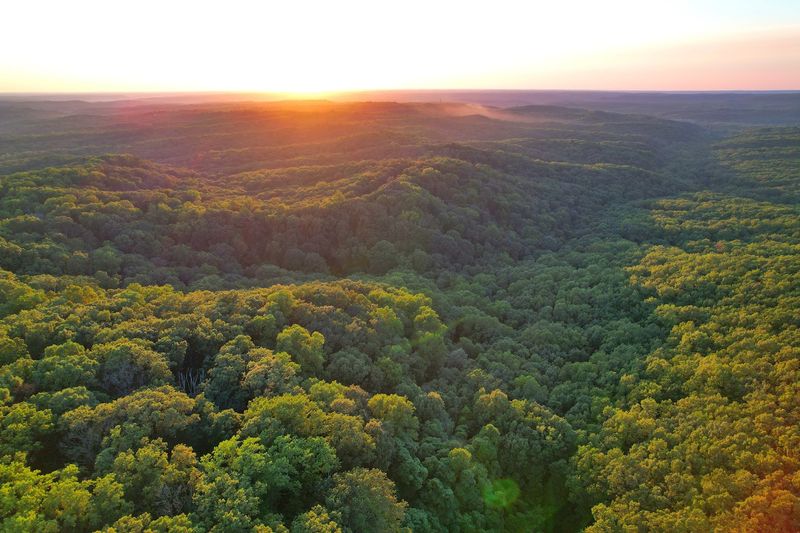 Ride through fast trails and rolling hills at this Indiana mountain ...