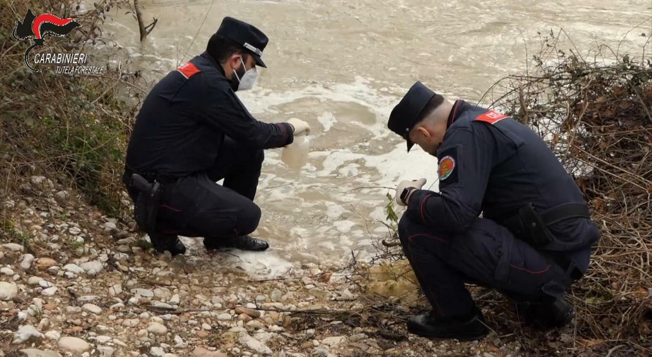 Polverigi, biogas, le scorie finivano nel torrente: Esino inquinato ...