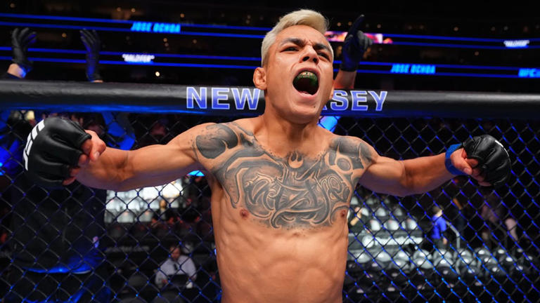 UFC fighter proposes to girlfriend -- who wasn't at the fight