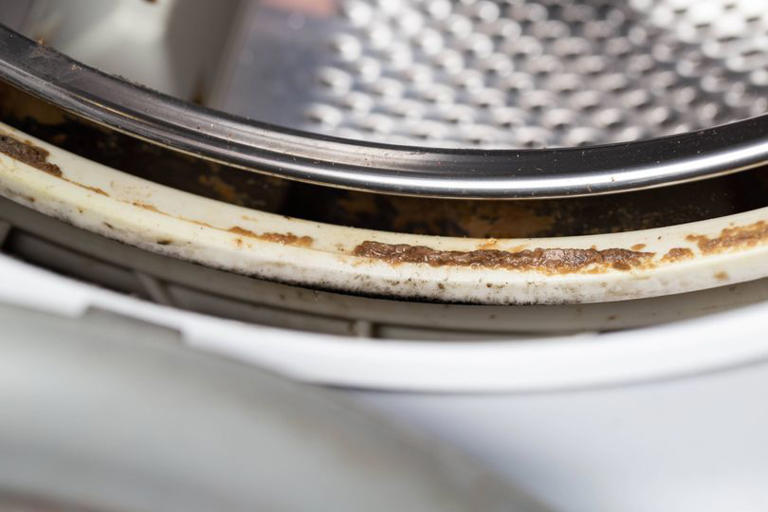 Kill mould on washing machine seals with 57p item that's more effective ...