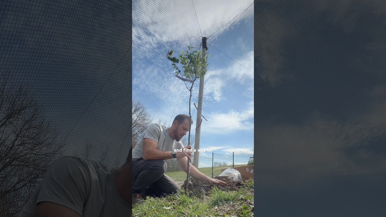 This tree’s not going to plant itself