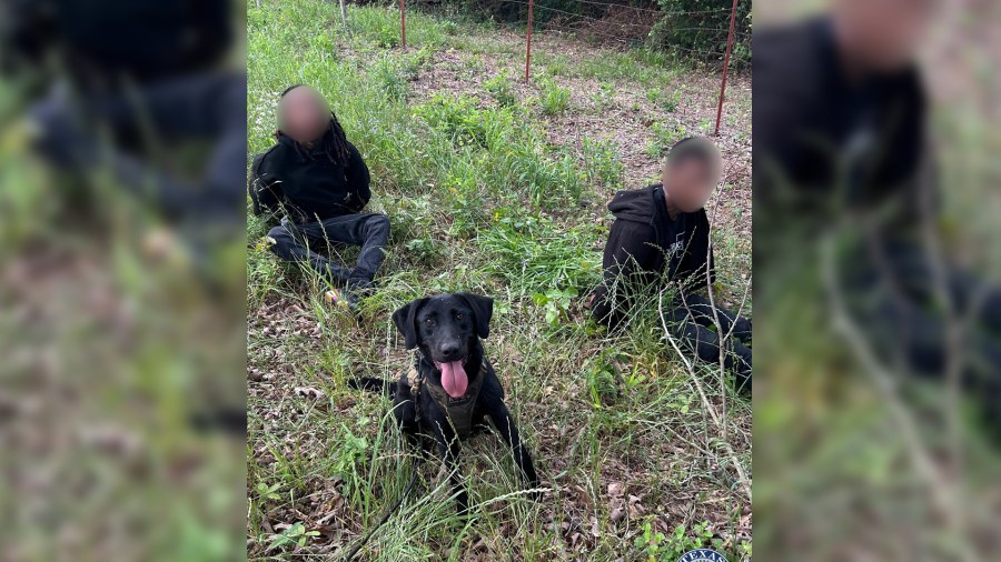 High-speed chase ends in Van Zandt County after K9, drone deployed