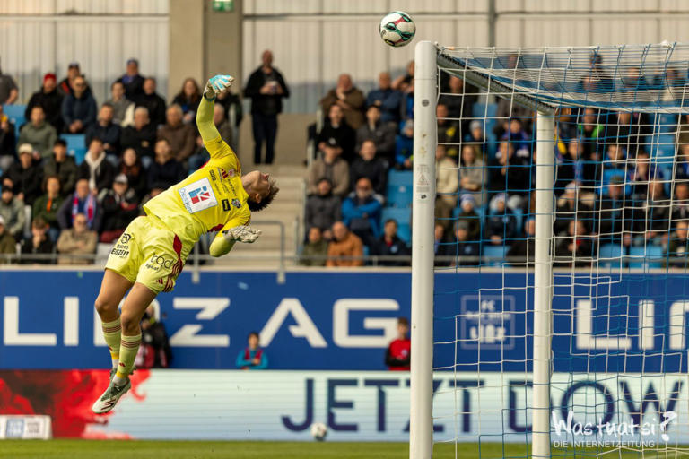WAC und seine heißeste Sommertransfer-Aktie Nikolas Polster