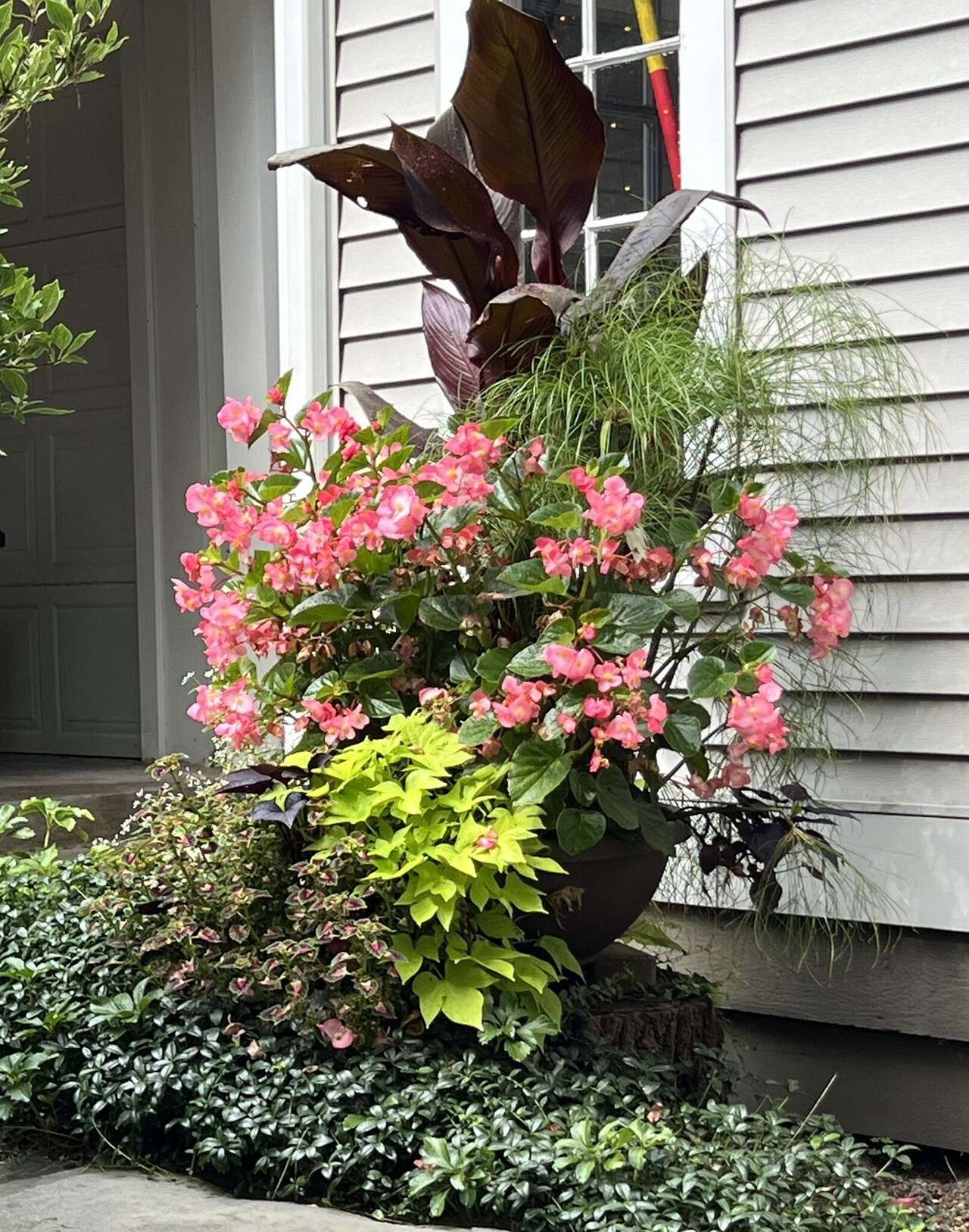 Tips for container gardening success