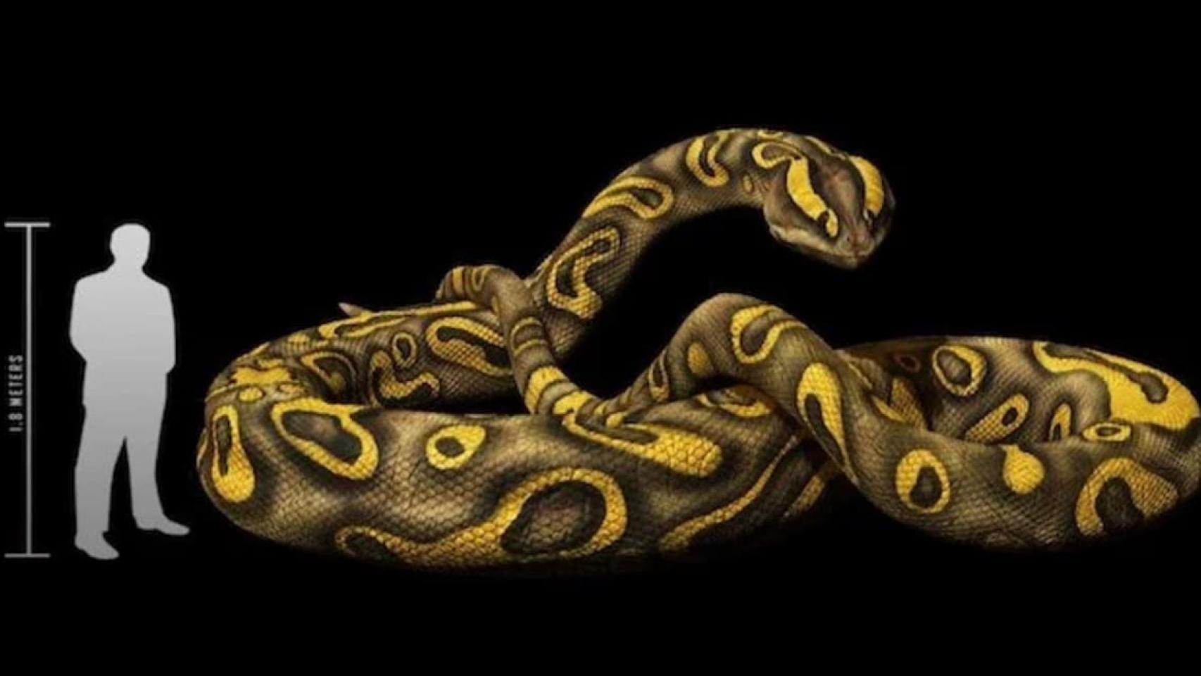 India descubre una serpiente prehistórica de hasta 15 metros y reabre ...