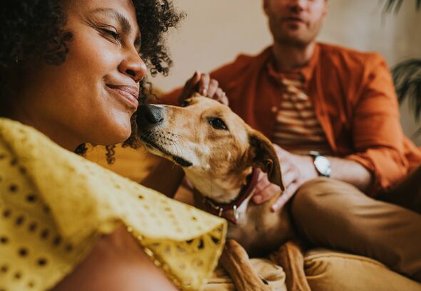 Vet says what it really means when your dog licks your face