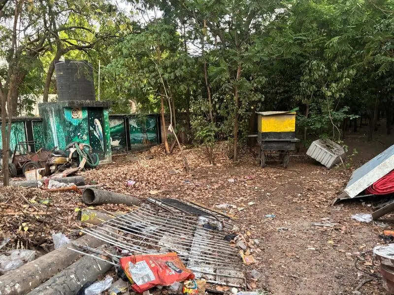 Thiru Vi Ka Nagar Miyawaki forest in Chennai turns hazard zone as ...